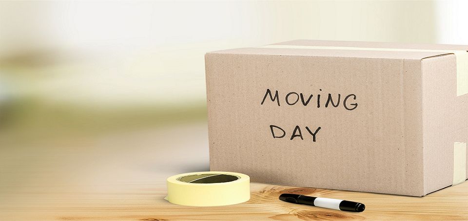 as19 - Professional Decluttering and Organising Service